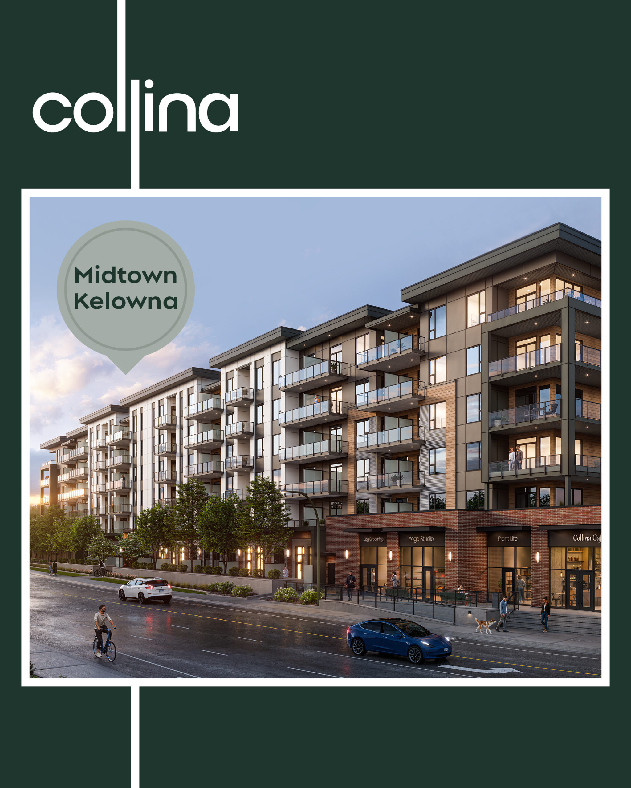 Realtor Kit | Collina