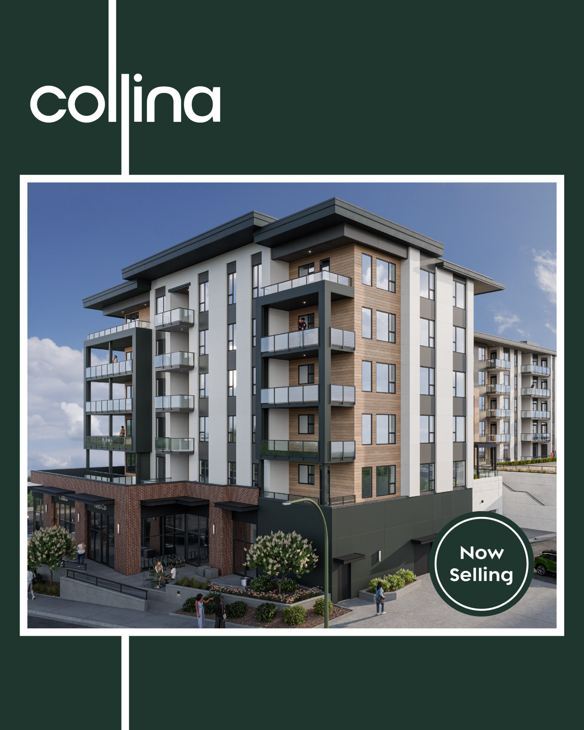 Realtor Kit | Collina