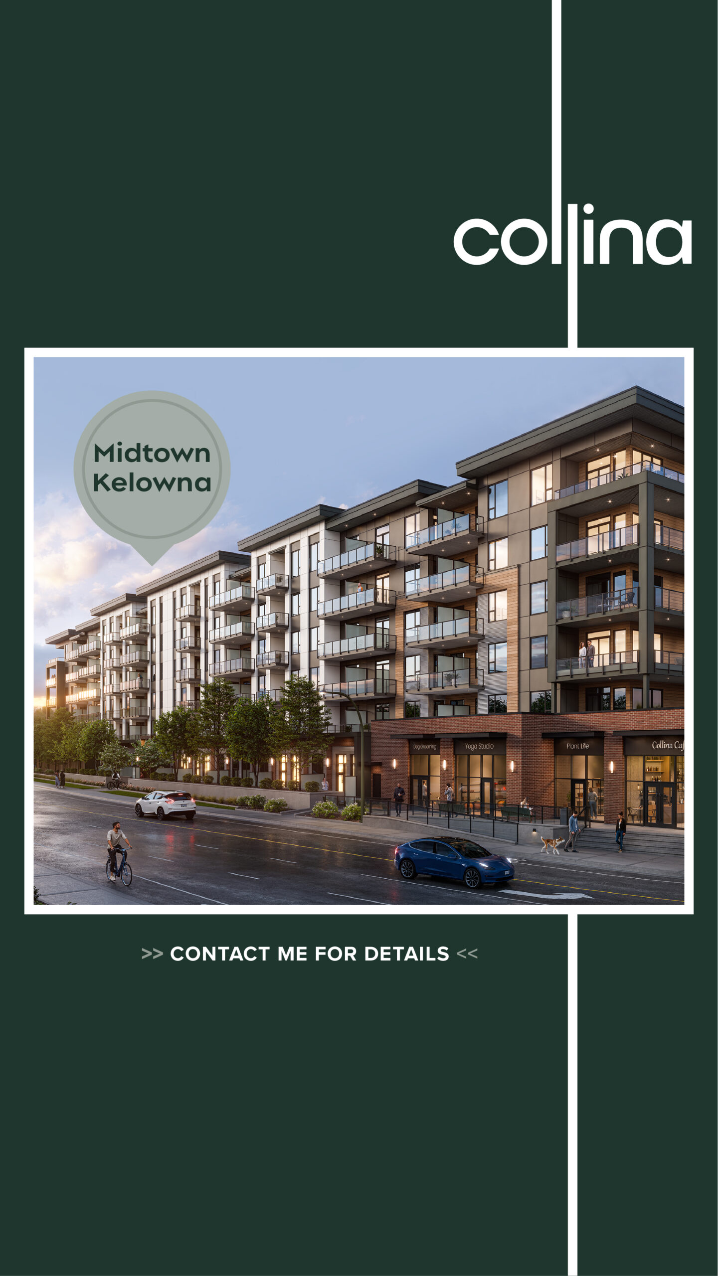 Realtor Kit | Collina